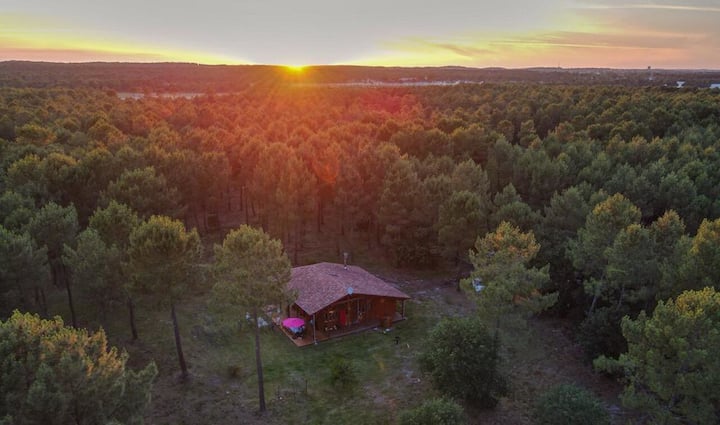 Superbe Villa En Bois Sur 5 000 M2 - Gujan-Mestras