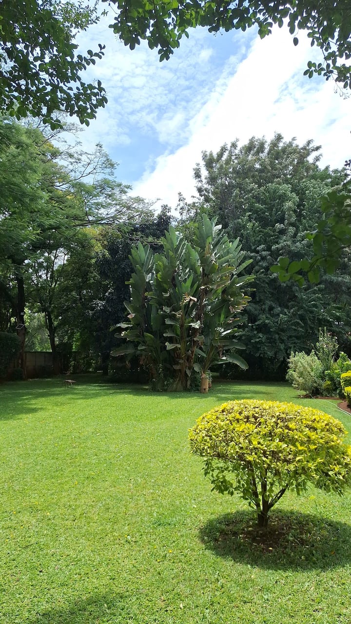 The Cosy Pool Studio - Harare