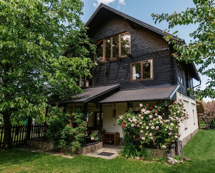 Next To Dracula's Castle In Bran - Silva Cabin - Bran