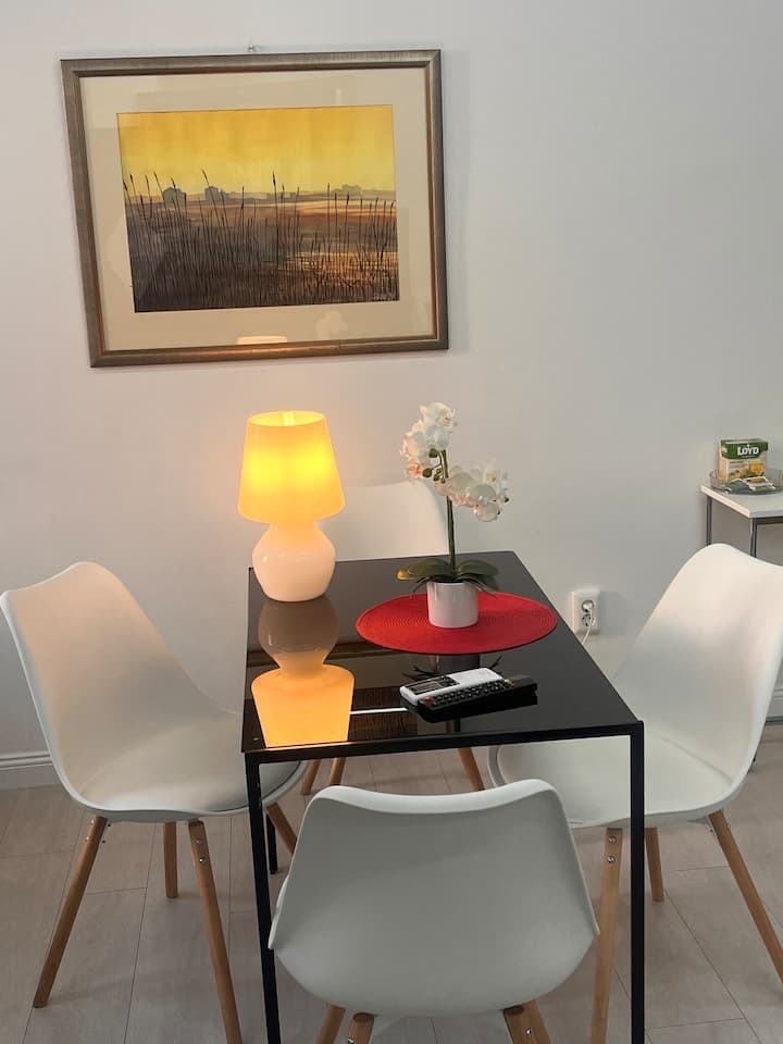 City Center Ljubljana /Free Underground Garage - Ljubljana