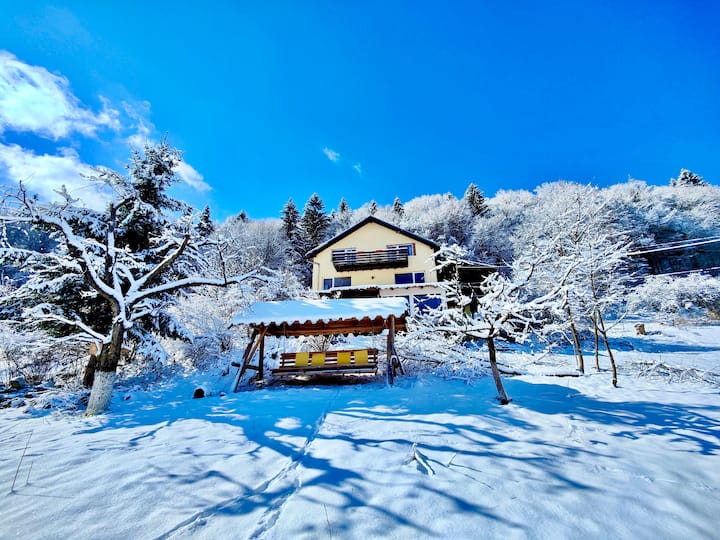 Apartament Confortabil - Casa De Sub Pădure Bran - Bran