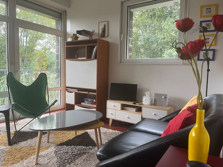 Appartement Design Proche Forêt, Vue Remarquable. - Saint-Dié-des-Vosges
