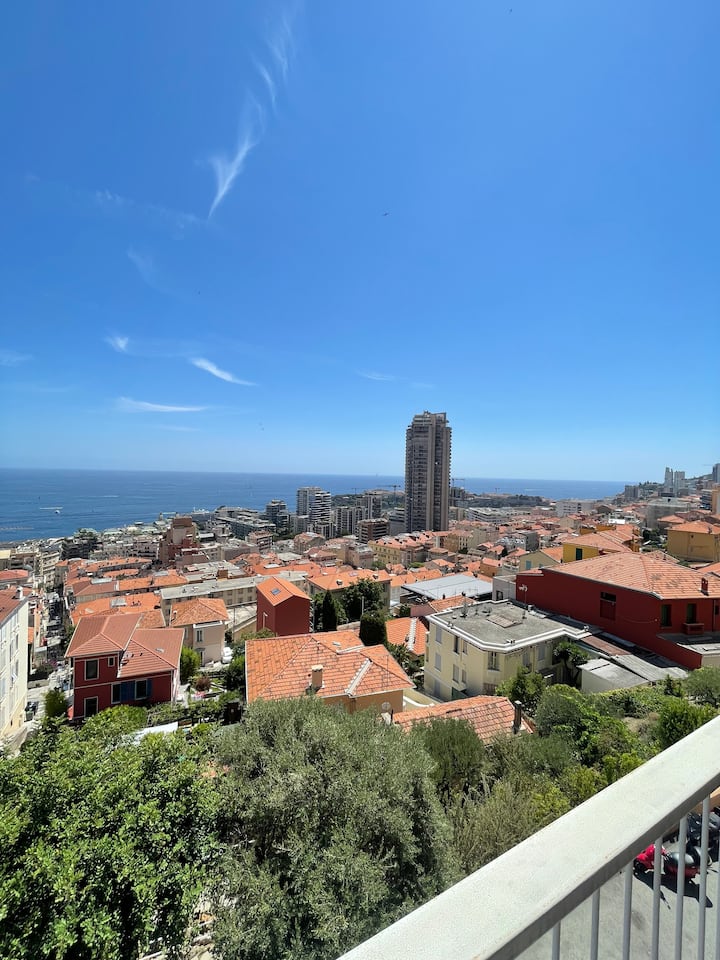 7 Min De Monaco | Vue Mer Panoramique | Clim &Wifi - Beausoleil