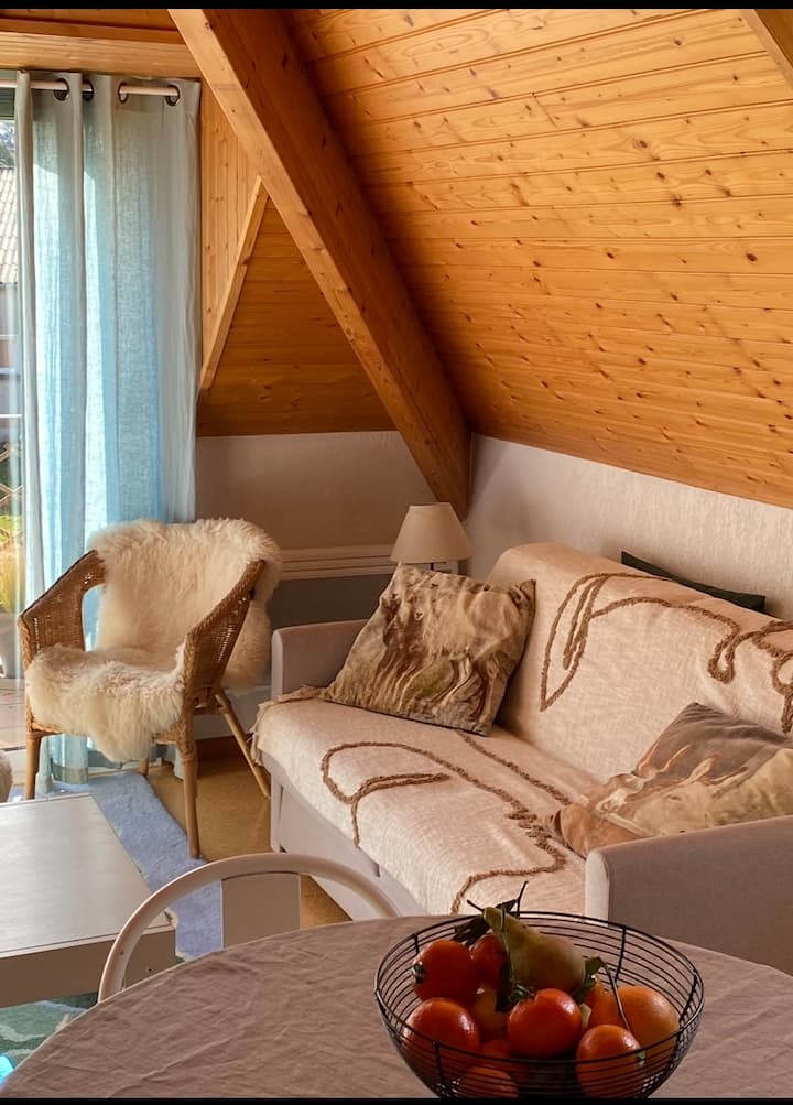 Duplex 2ch, Plein Soleil, Face Aux Montagnes - Luz-Saint-Sauveur