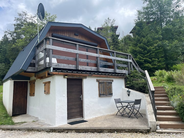 Petit Chalet L’altic 1200 « Les Jouvencelles » - Les Rousses