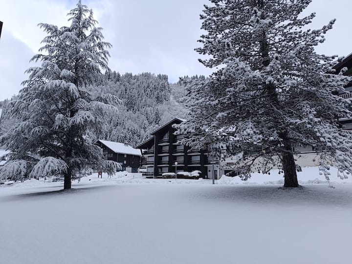 3 Pièces Contamines Ski Alpes Haute-savoie - Les Contamines-Montjoie