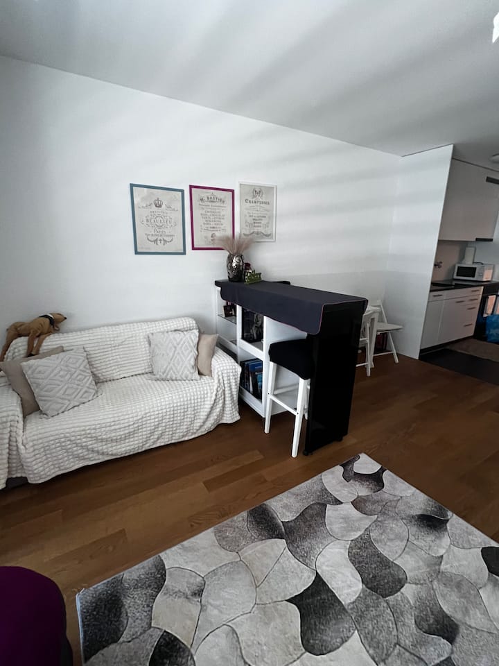 Charming Apartament Near Old Town - Bern