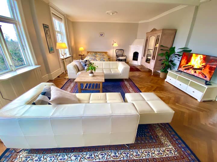 Central & Spacious Apartment At Exclusive Address - Copenhagen