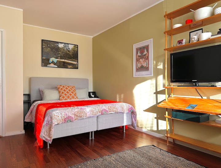 Cozy Green Studio: Wifi, A/c, Next To Train & Tram - Helsinki