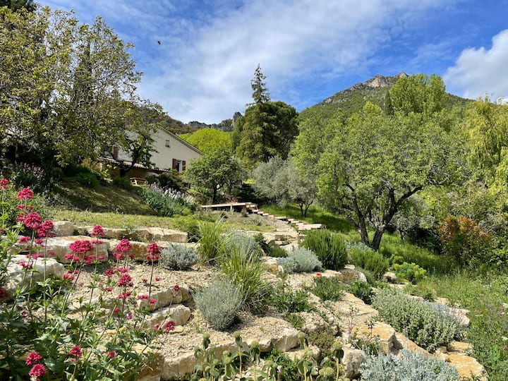 Le Guet-aux-anes - Mas Provençal- Calme & Nature - Drôme