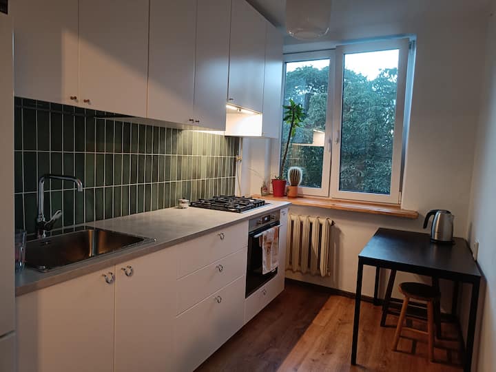 Entire Apartment By Train Station - Vilnius