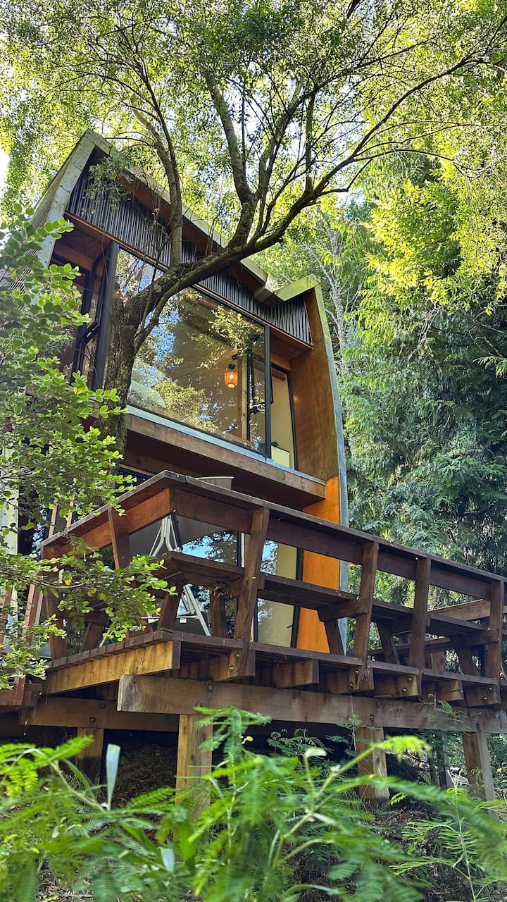 Modern House In Valdivian Forest · Hot Tub - Valdivia