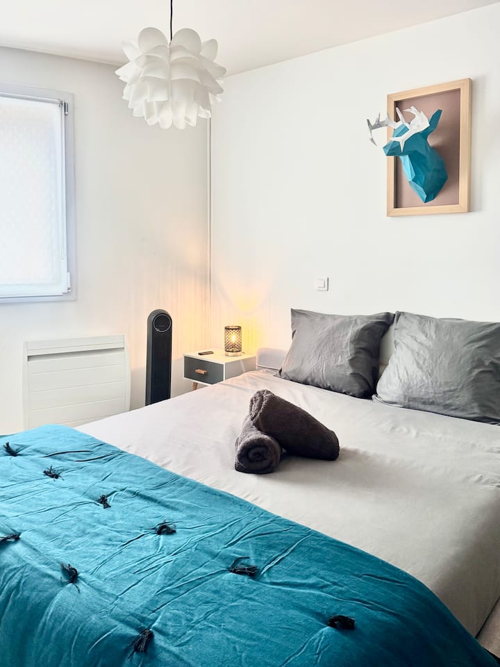 Appartement Cosy Face à La Basilique Saint Remi - Reims