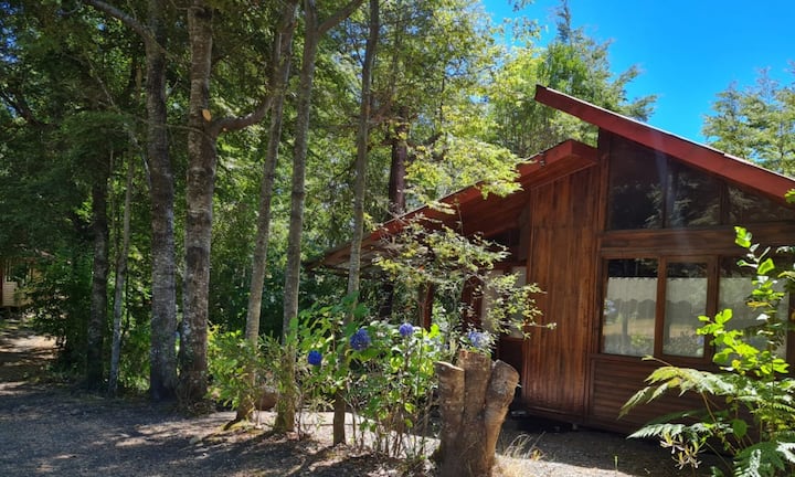 Cabañas Pucón Bosque Nativo A 5 Min Del Centro F - Pucon