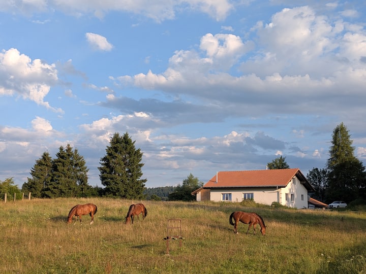Clos Gaufroy La Chaux-des-breuleux - Canton de Jura