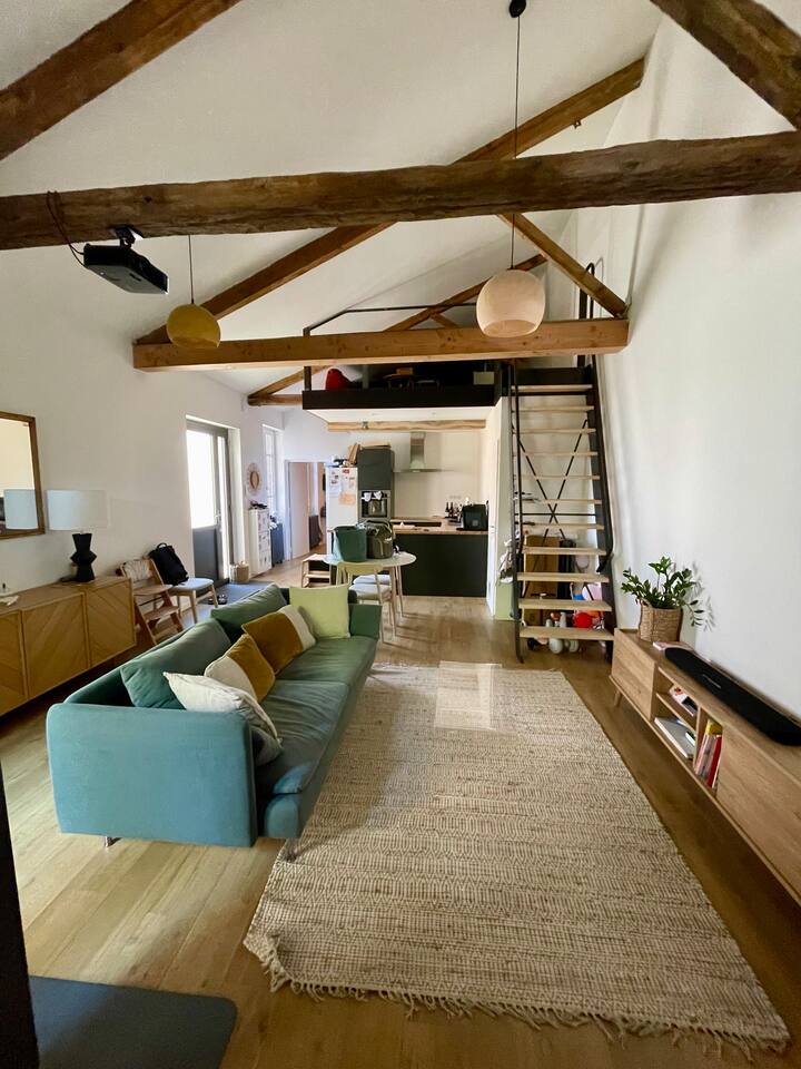 Charmante Maison Albi Centre Avec Piscine. - Albi