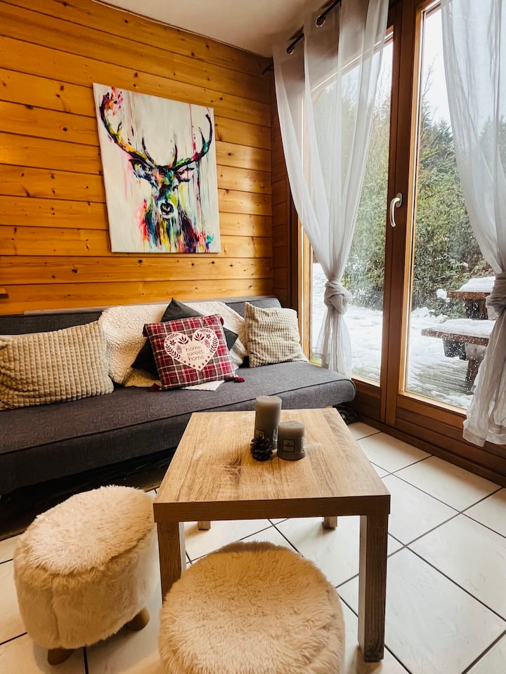 Chalet Le Chamois 2-5p, 5m Lac Pistes, Linge Comp - Vosges