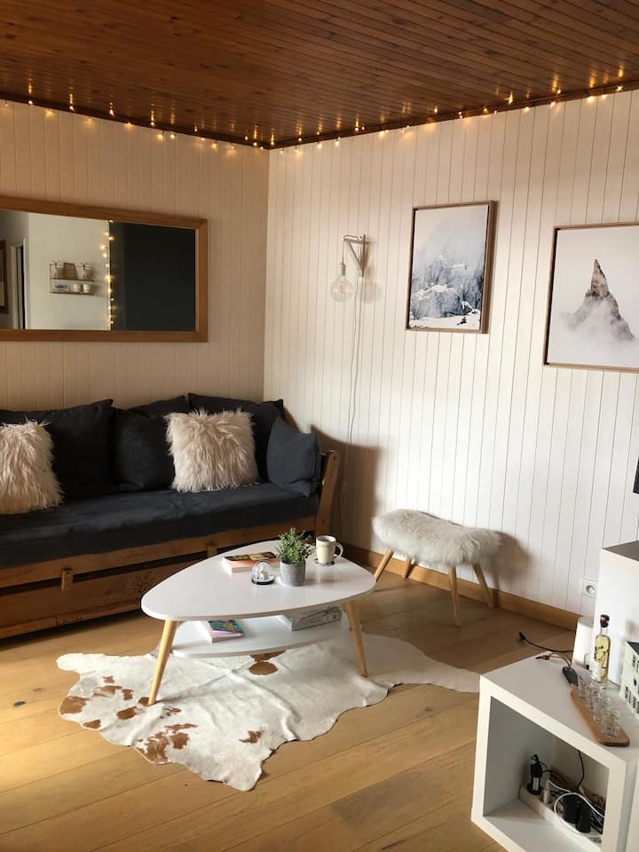 Appartement 4 Personnes, Centre Village - Manigod