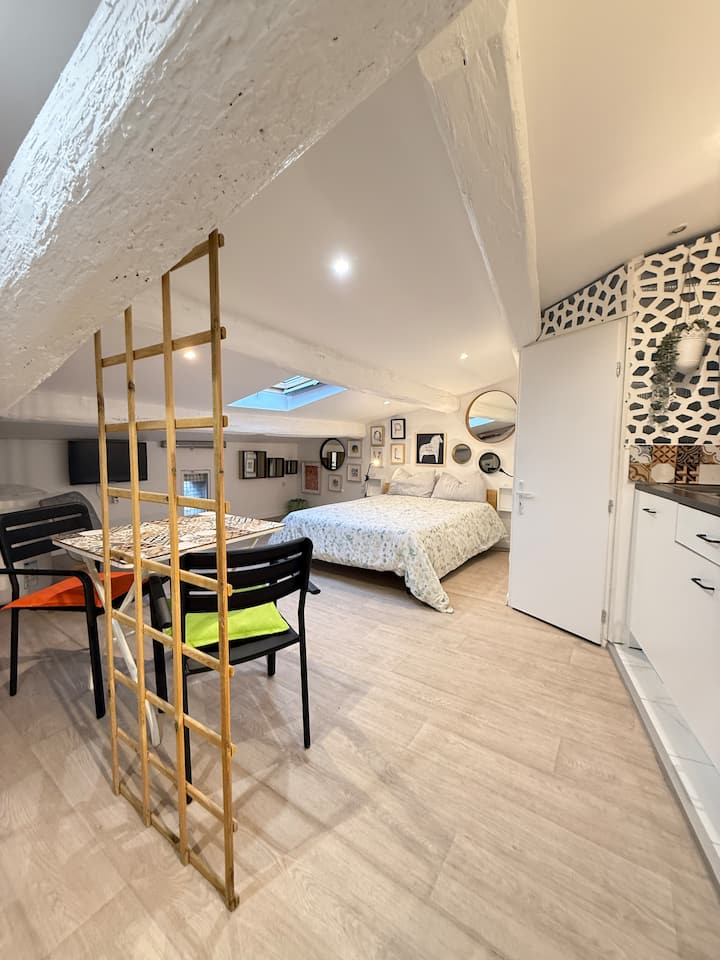St Louis Studio•clim•mensardé - セート