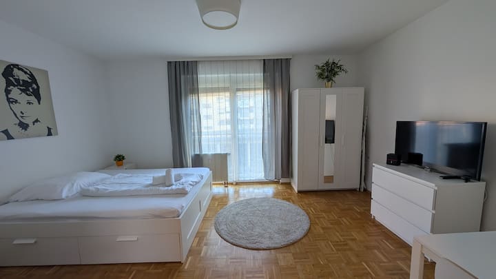 Nice & Clean Apartment Graz Incl. Private Parking - Graz