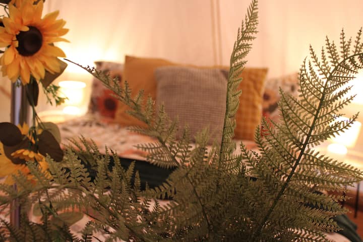 Wildflower Meadow Glamping - Tesni At Ty Cynan - Llanbedrog