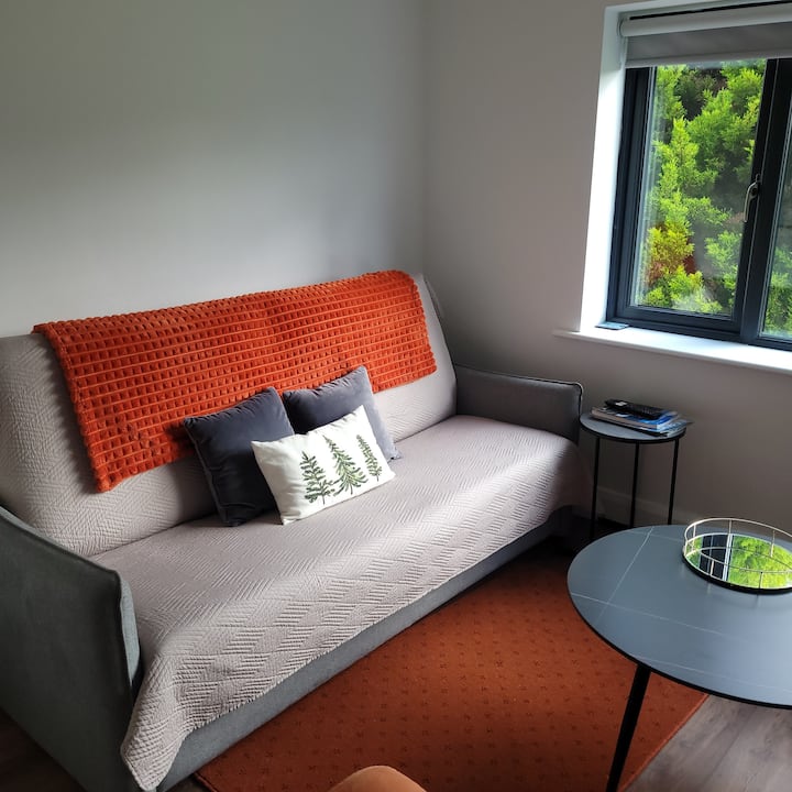 Spacious Apartment In Town. 2 Guests. - Westport, Ireland