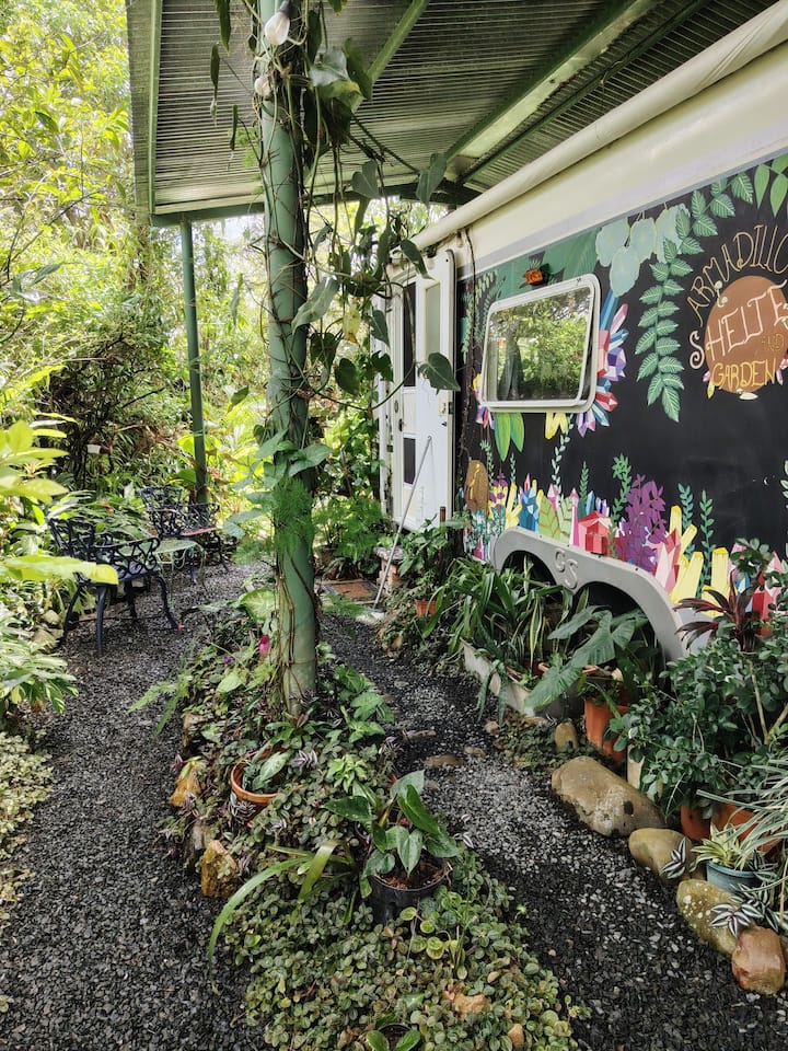 Armadillo Shelter & Garden.
Valle De Anton - 파나마