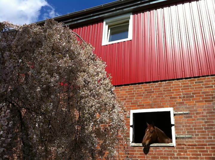 Ferienwohnung Auf Dem Bauernhof An Der Doven Elbe - Hamburg