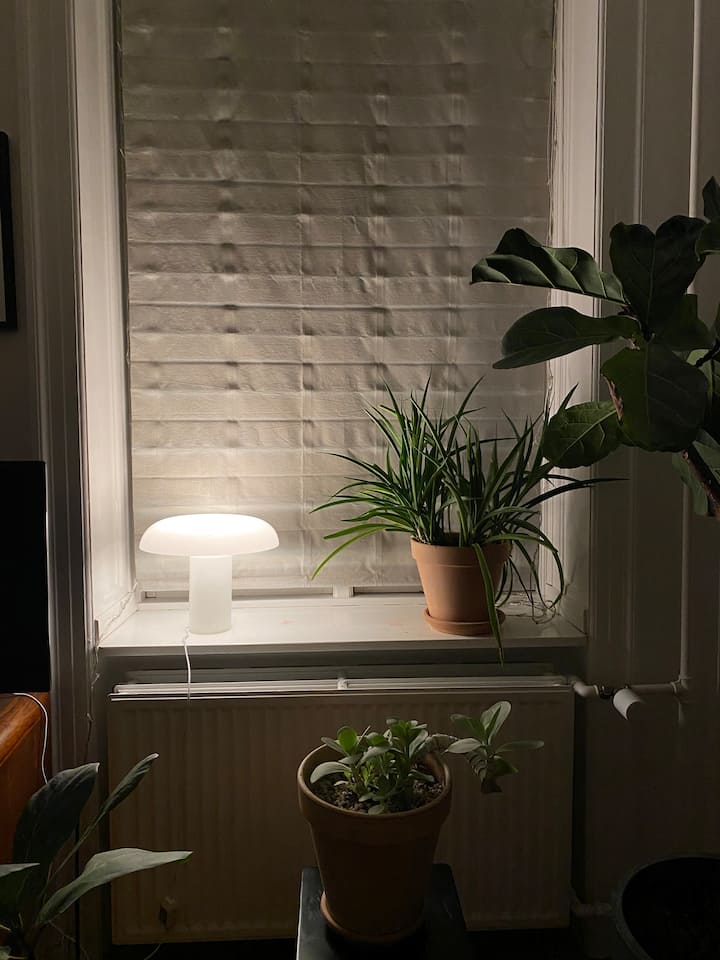 Cosy Central Apartment With Balcony - Copenhague