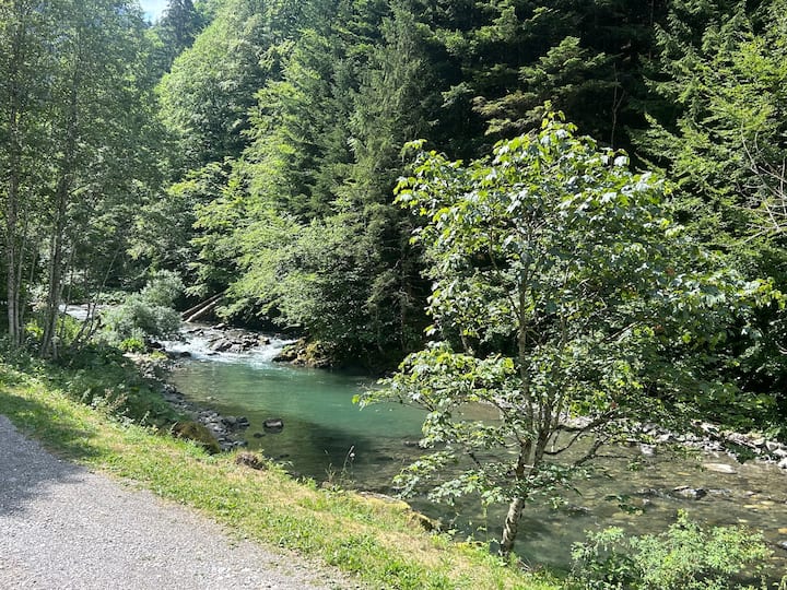 Le Chalet Du Torrent 
Logement 
*La Forêt* - Le Grand-Bornand