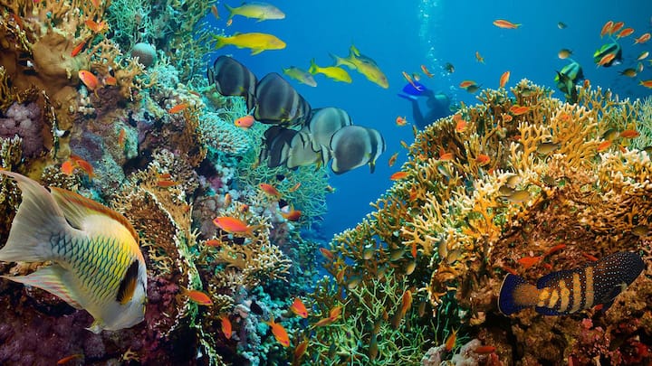 Beach,shop,downtown,🚘🚖ev Charging Station - Santa Barbara, CA