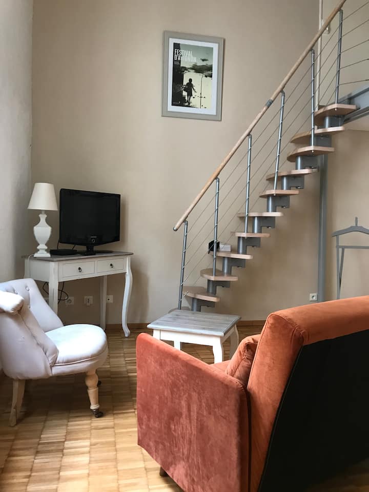 Mooi Historisch Appartement In Het Hart Van Avignon / Een Mooi Appartement In Avignon - Avignon
