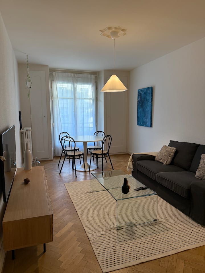 Magnifique Appartement à Unimail (Centre Ville) - Geneva