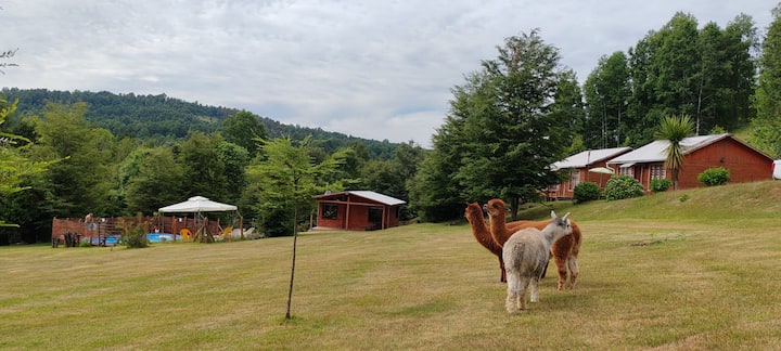 Cabañas Antu-mapu - Panguipulli