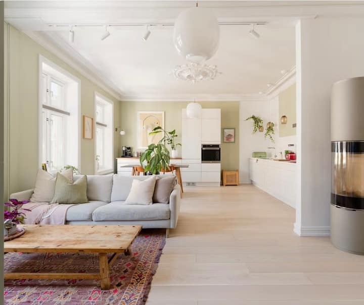 Large & Stylish Oslo Apartment, Very Central. - Oslo