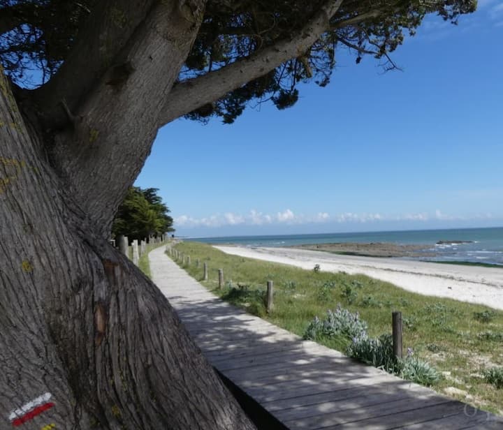 Maison Près De La Plage, Tout à Pied - Sarzeau