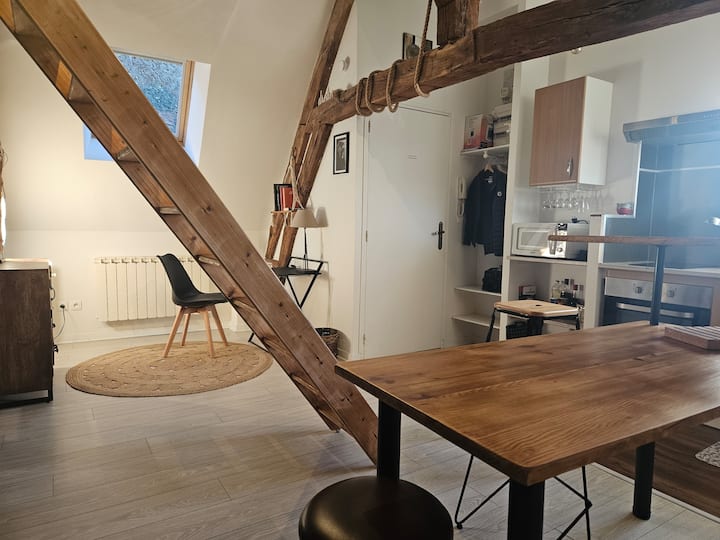 Studio Esprit Cocooning Belle Hauteur Sous Plafond - Gien