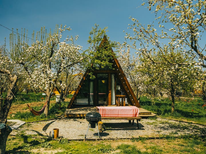 Little Alma-ata A-frame House 2 - Kazakhstan