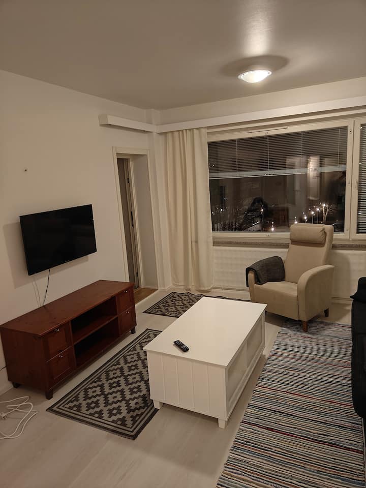 Nice Renovated 3rm Apt Especially Workers/students - Rauma