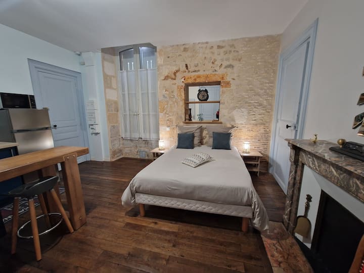 ÉLégant Studio Hyper Centre ✴Tout Neuf Pour Vous ✴ - 푸아티에