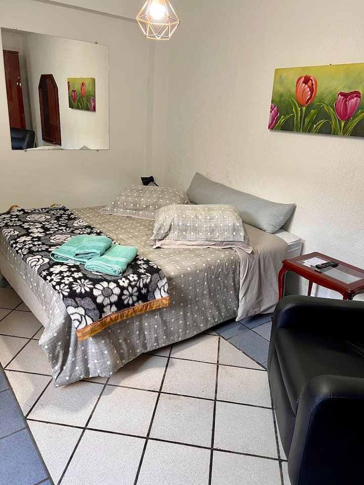 Quarto/banheiro. Garagem E óTima Localização - Passo Fundo
