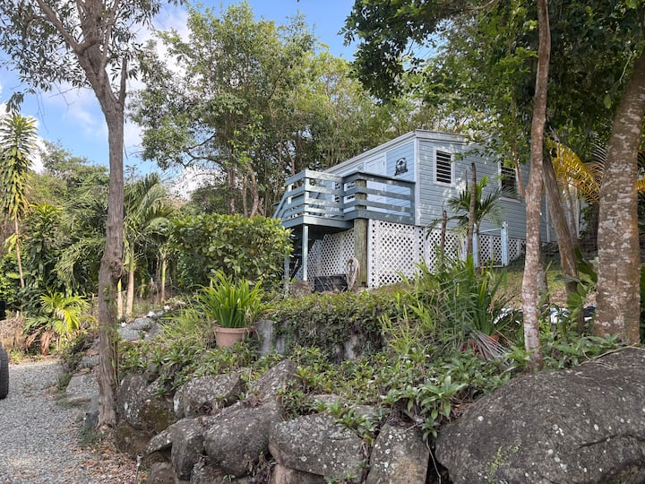 Jungle Cat Cottage - Cruz Bay