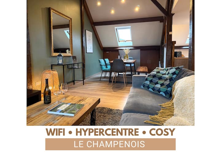 Appartement Central – Près Avenue De Champagne - Épernay