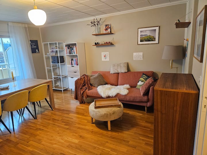 Inviting, Lovely Apartment In Oslo - Oslo