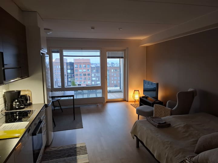 Studio On 6th Floor With Big Balcony - Helsinki