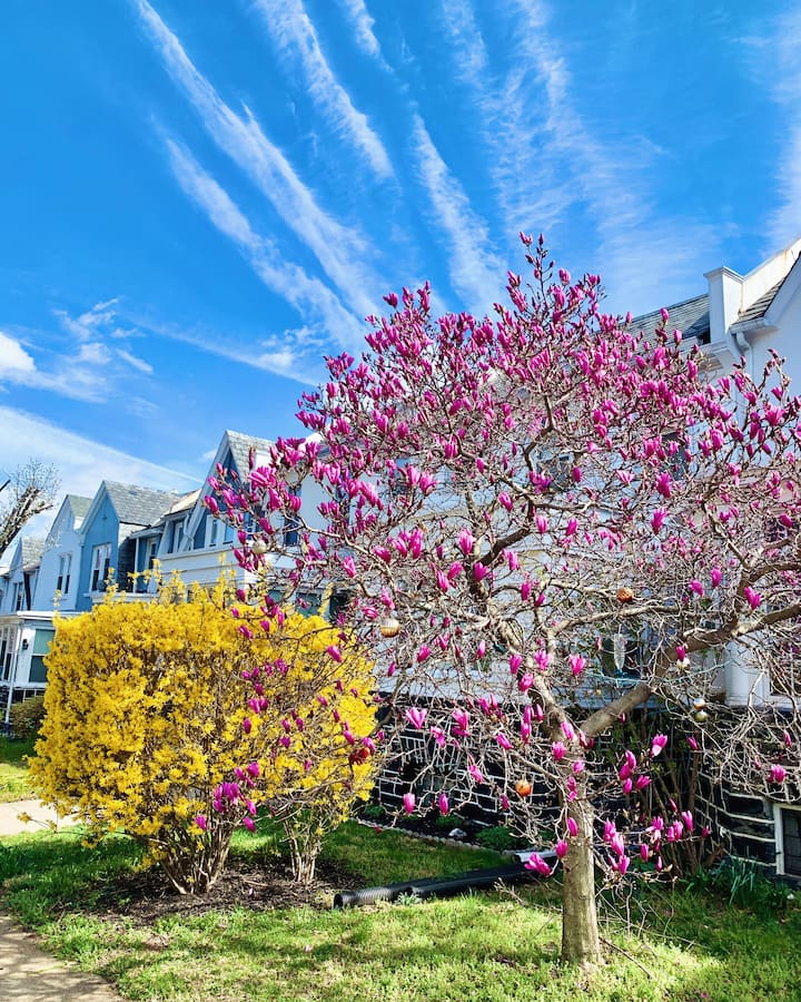 Colorful Artsy 2bdrm Rowhouse, Quiet, Free Parking - Baltimore, MD