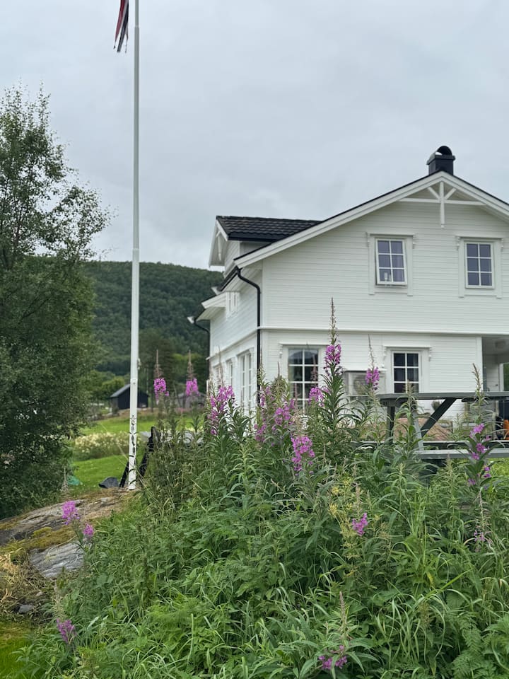 Kastneshavn - Dyrøy