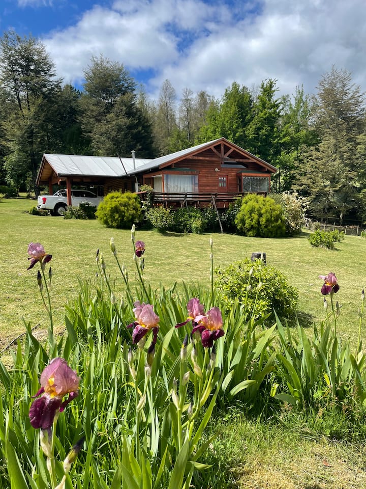 Cabaña 2 - Cabańas Borde Cańi, Pucón - Los Ríos