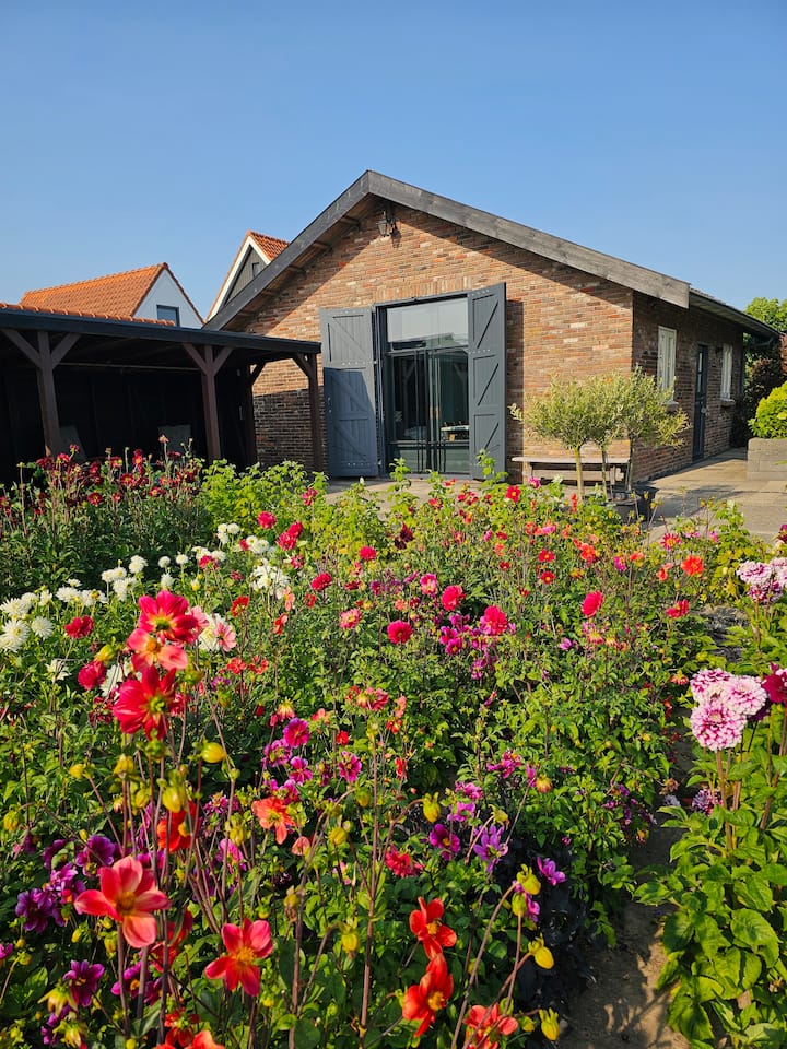 Luxury Cottage In Nature And Nearby Amsterdam - Heemskerk