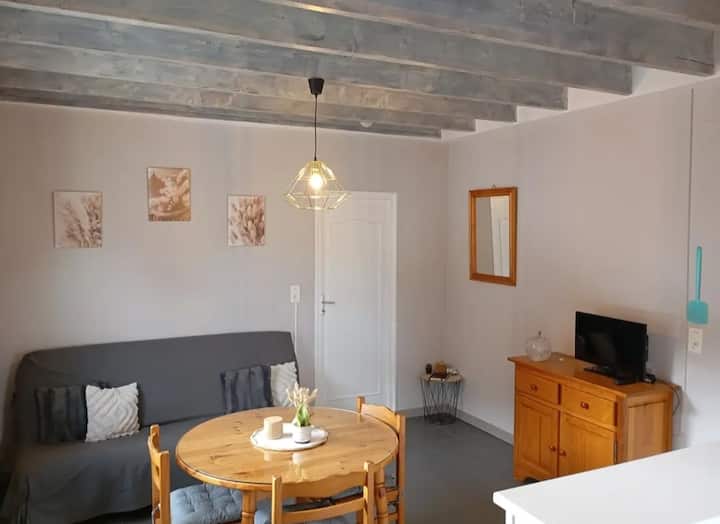 Appartement Aux Pieds Des Pyrénées, 3km De Lourdes - Lourdes